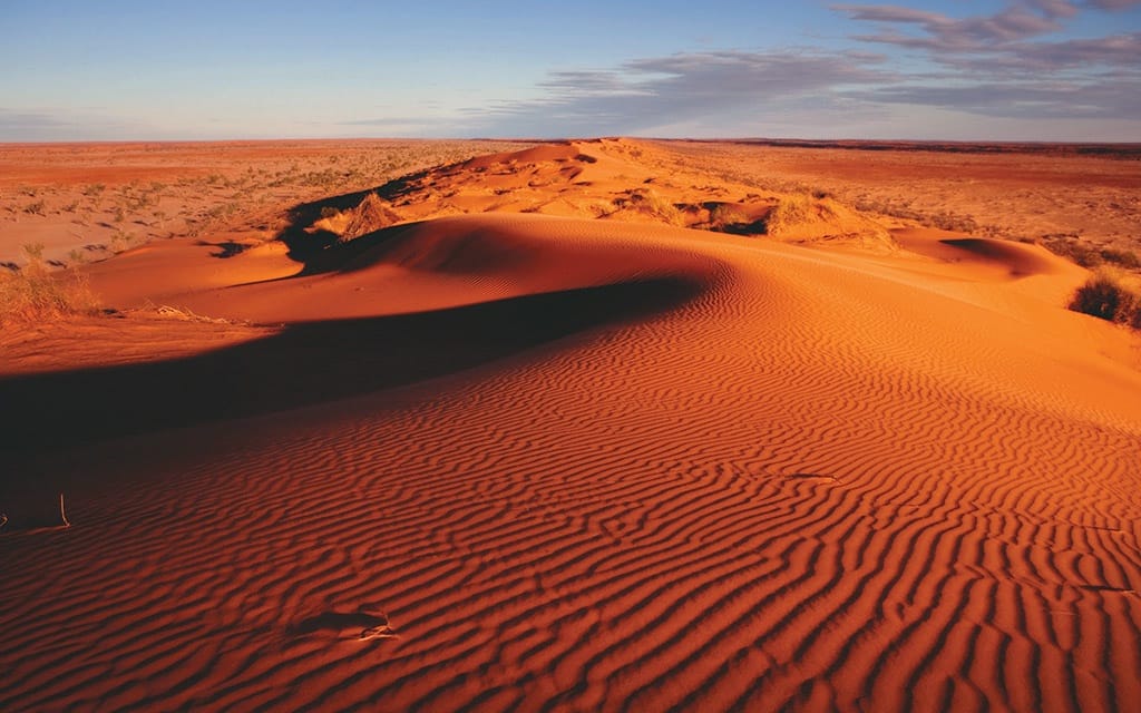 The Channel Country Cattle Tour | Farm & Leisure Tours